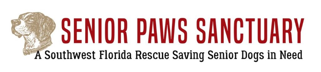 Senior Paws Sanctuary ~ Sponsor A Senior Dog Gracie